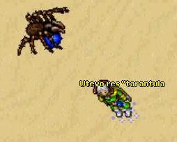 Tibia.pl - Summon Creature